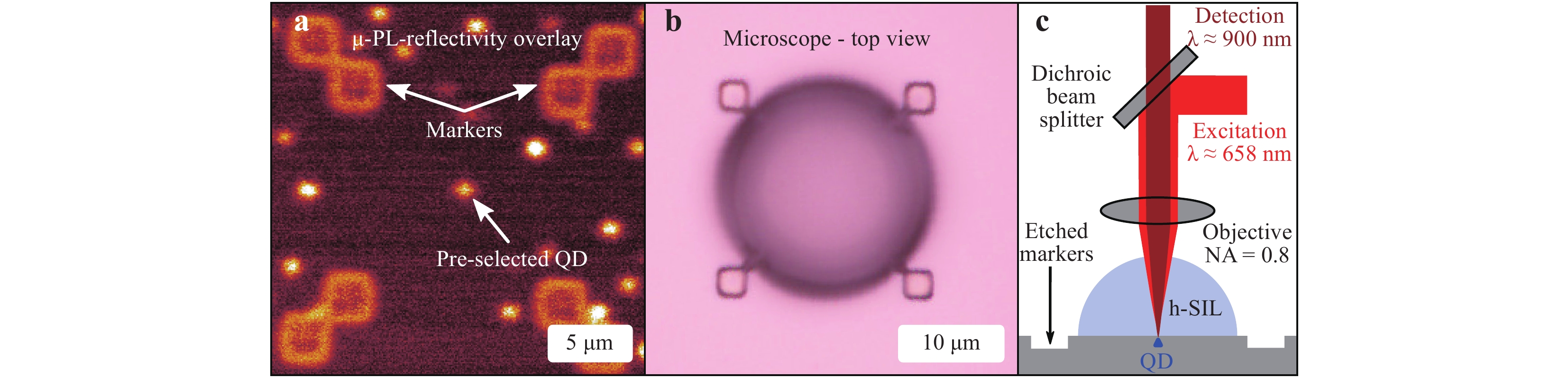 Light: Advanced Manufacturing
