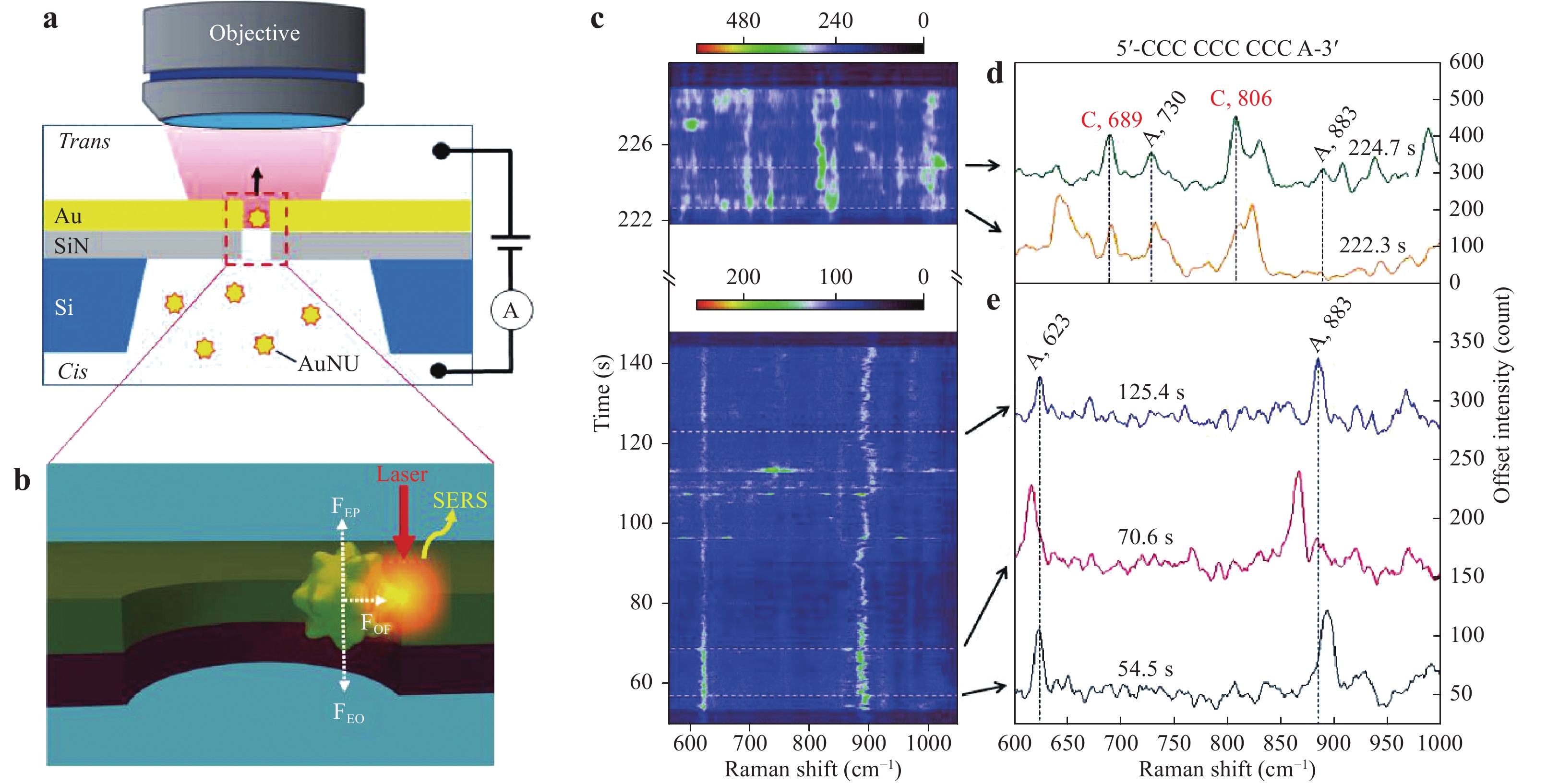 Light: Advanced Manufacturing