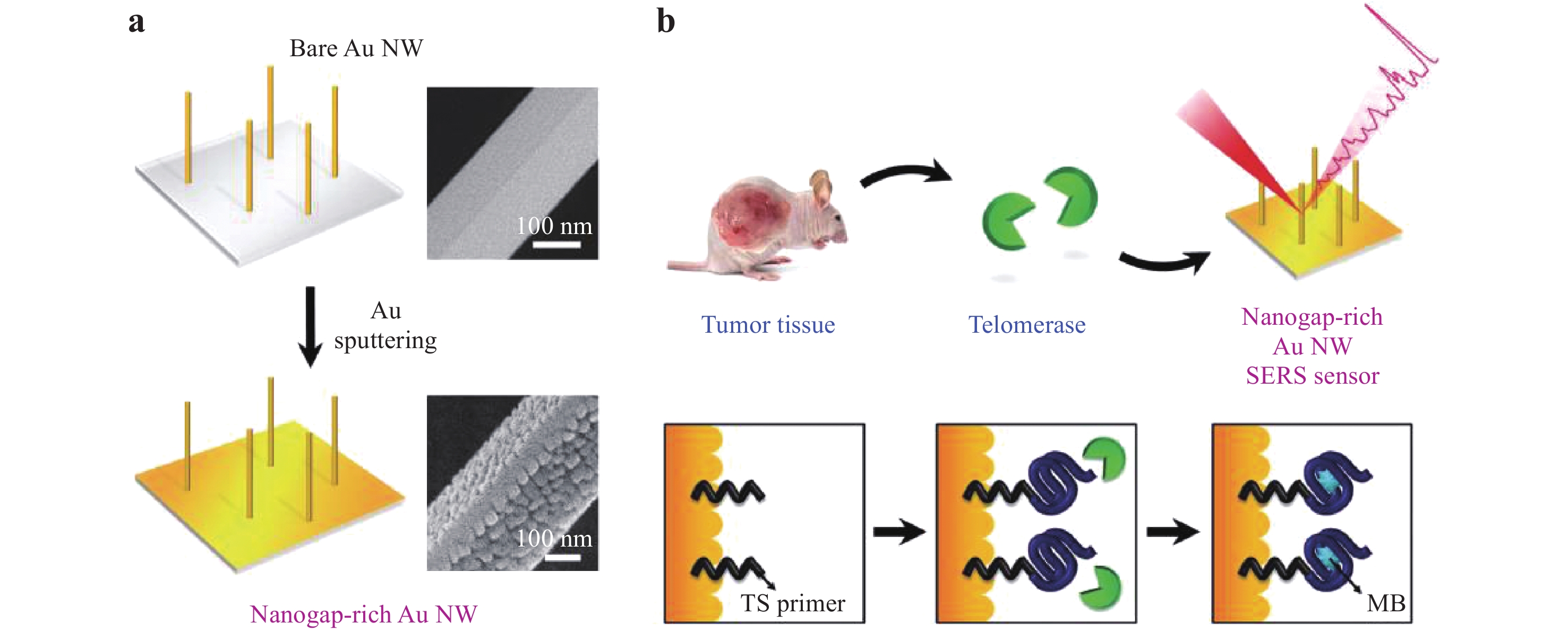 Light: Advanced Manufacturing