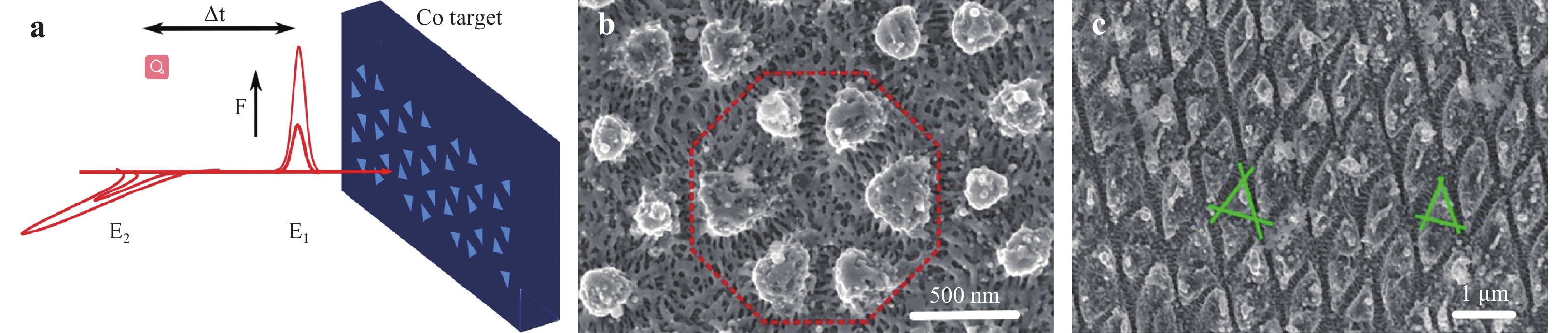Light: Advanced Manufacturing