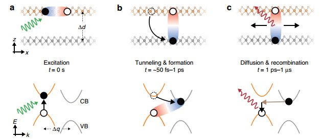 Exciton Recombination