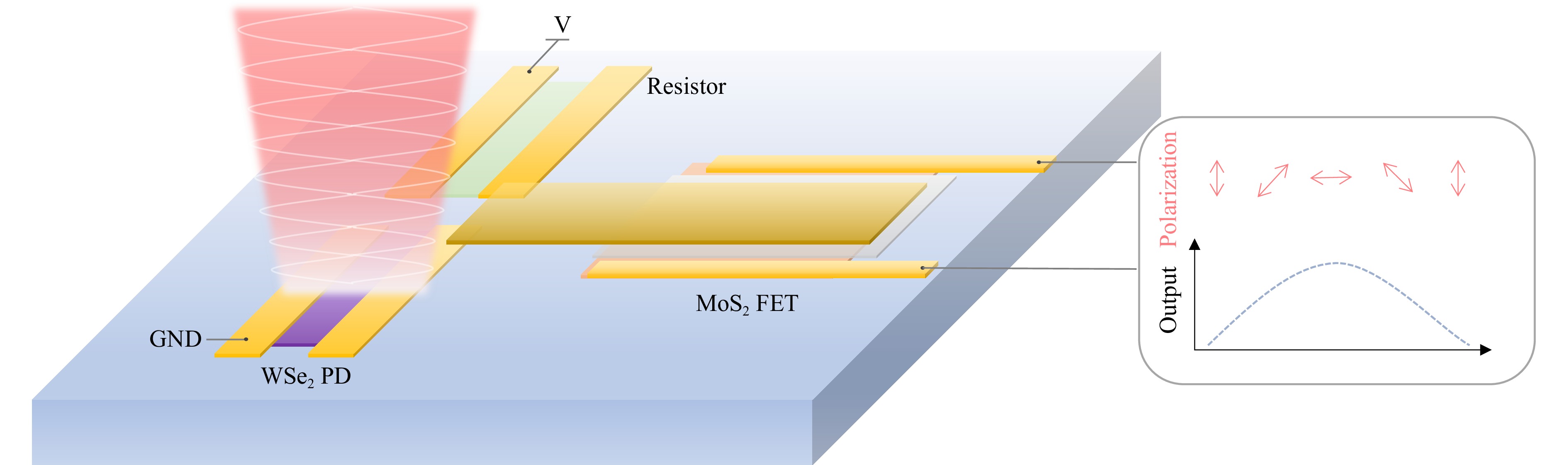 Versatile on-chip polarization detection leveraging two-dimensional materials
