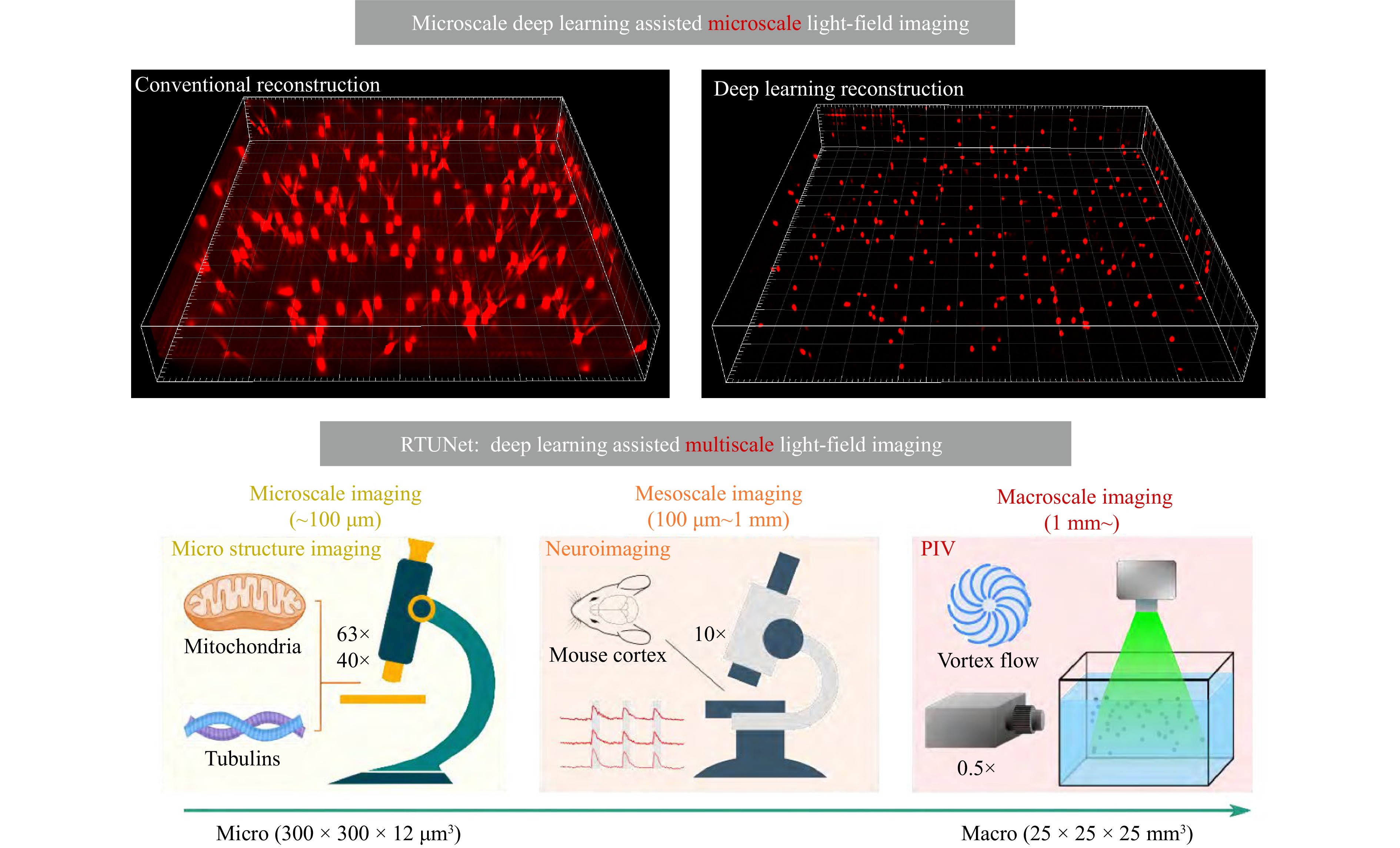 Light: Advanced Manufacturing